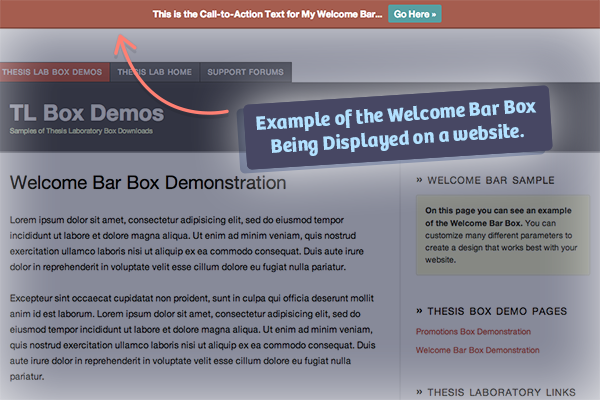 Welcome Bar Box Content Options